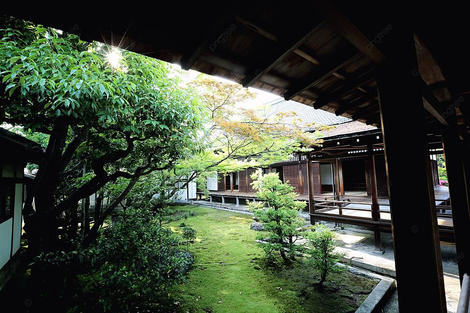 Daun Maple Hijau Terpantul di Lantai Kuil Kyoto - Niindo
